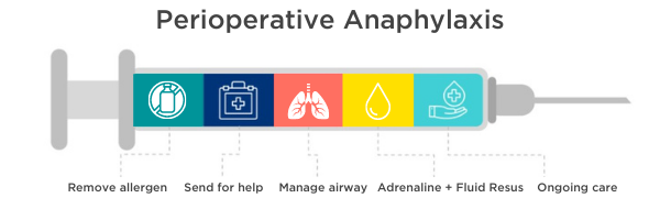 Perioperative Anaphylaxis | Medcast